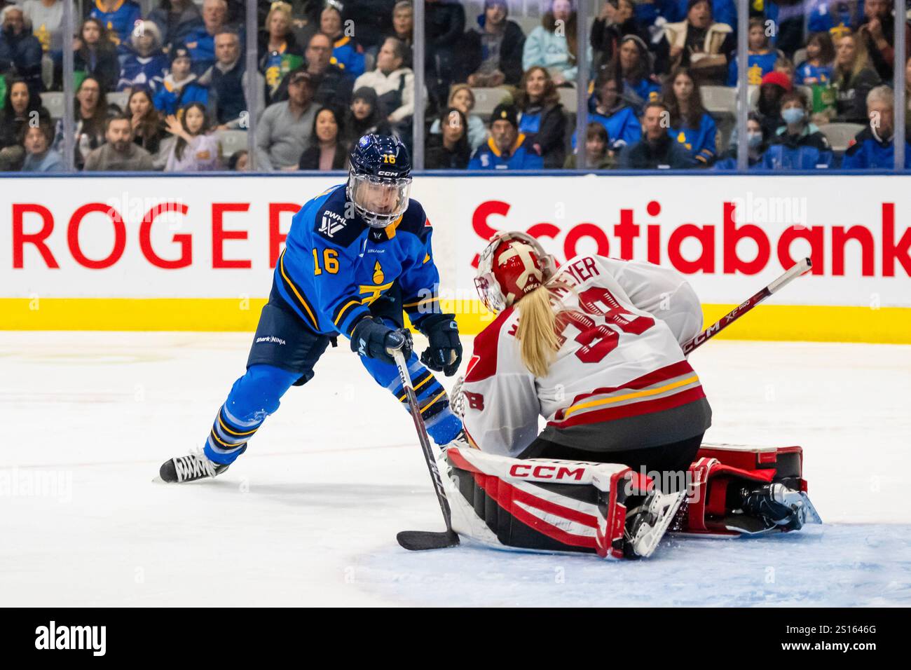 Toronto, Canada. 31st Dec, 2024. Toronto Sceptres' Hayley Scamurra (16 ...