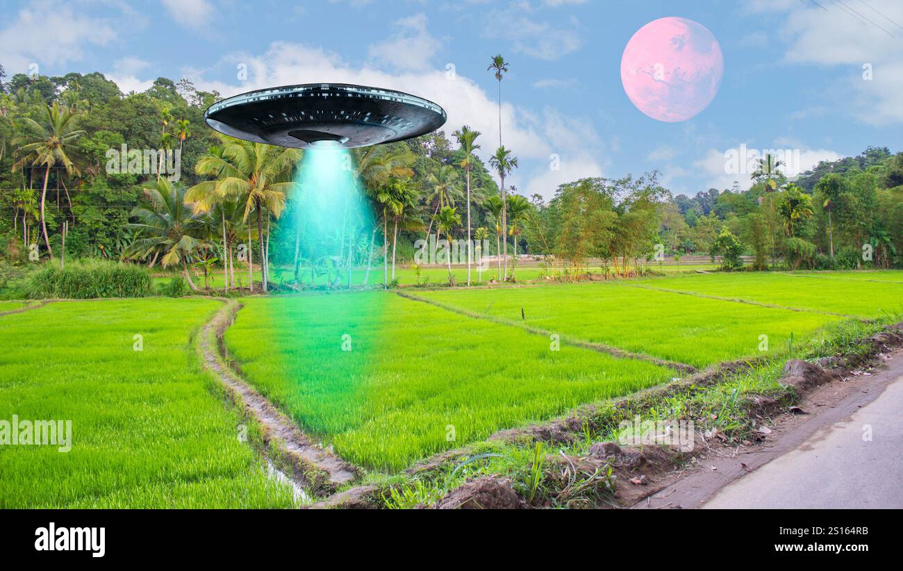 An Enigmatic and Mysterious UFO has Landed in a Lustrous Green Rice ...
