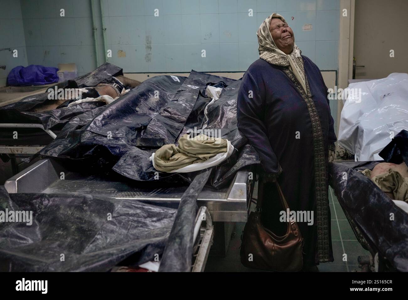 Hilala Meryeh, a 64-year-old Palestinian mother of four, weeps in the ...