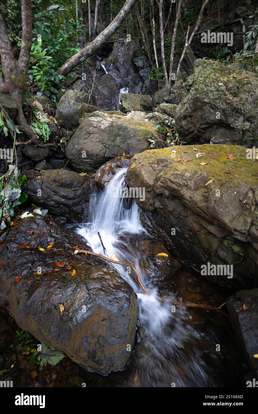 A stunning Diguisit Falls in Aurora cascading down moss-covered rocks ...