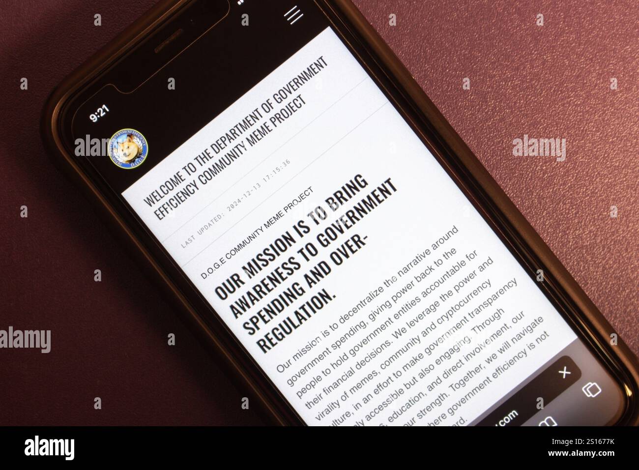 Website of Department of Government Efficiency (DOGE) is displayed on ...