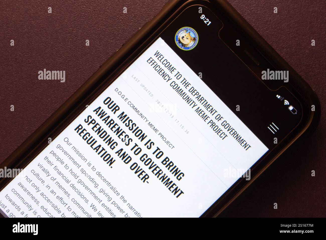 Website of Department of Government Efficiency (DOGE) is displayed on ...