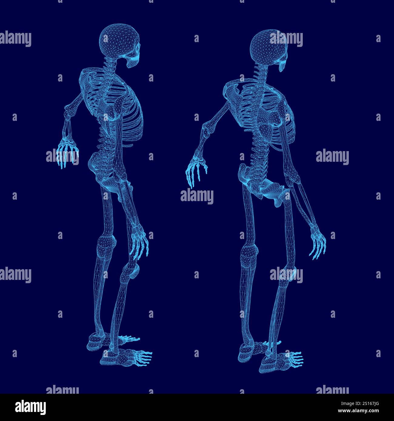 Two skeletons are standing side by side on a blue background. The ...