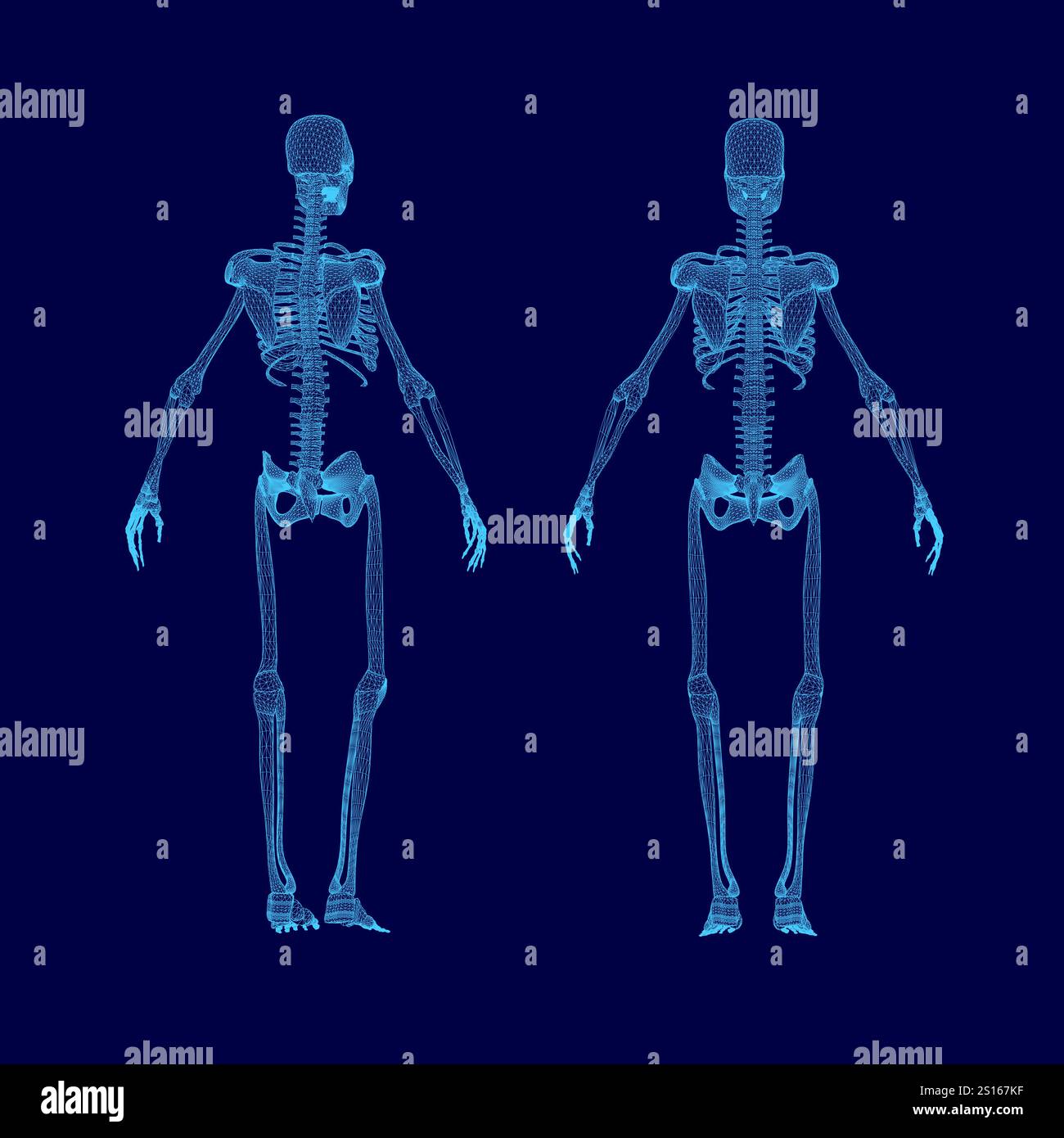 Chest and the left leg Stock Vector Images - Alamy