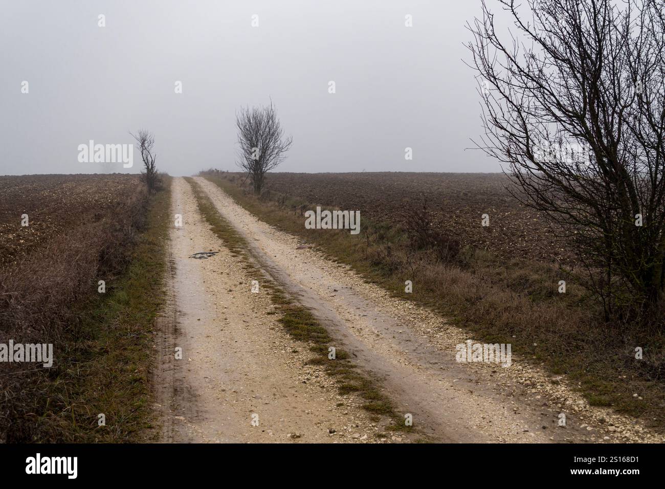 Landscape with ground road through fields during foggy day in snowless ...