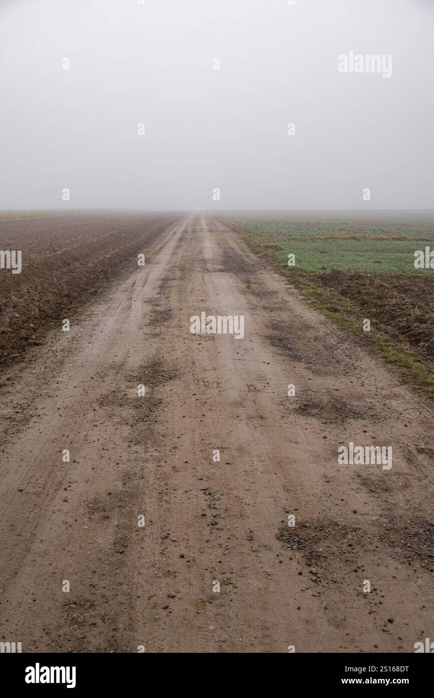 Landscape with ground road through fields during foggy day in snowless ...