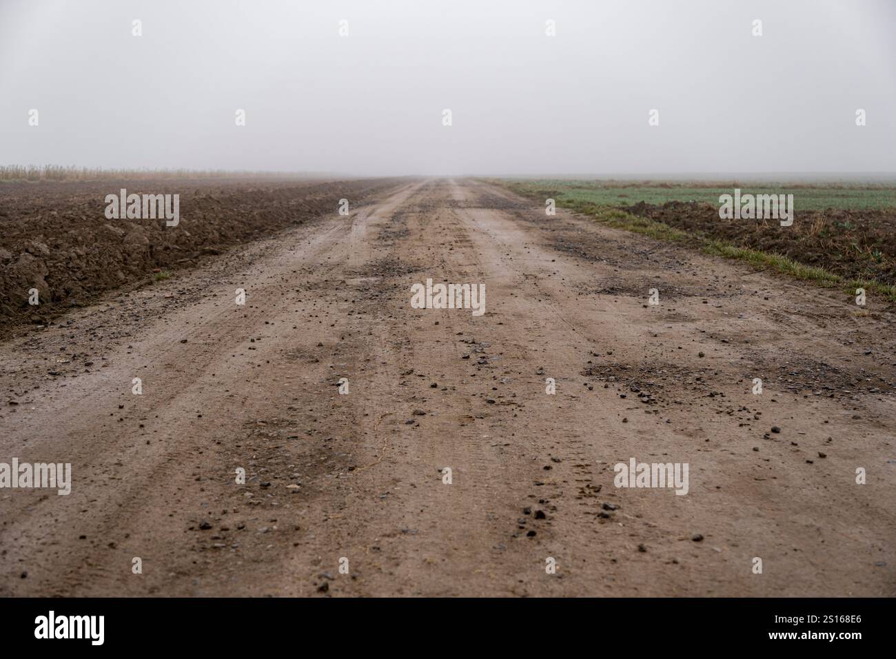 Landscape with ground road through fields during foggy day in snowless ...