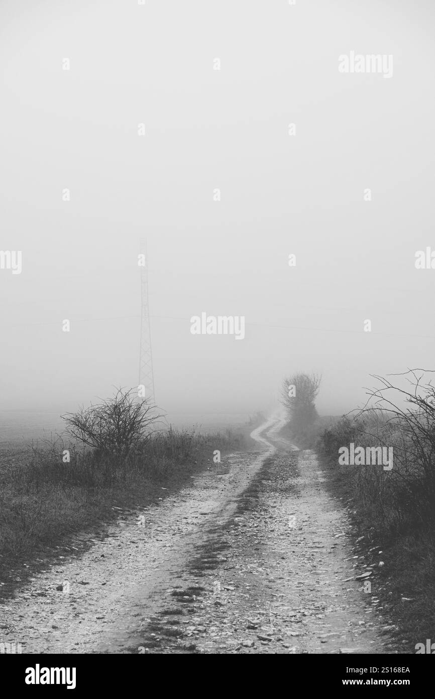 Landscape with ground road through fields during foggy day in snowless ...