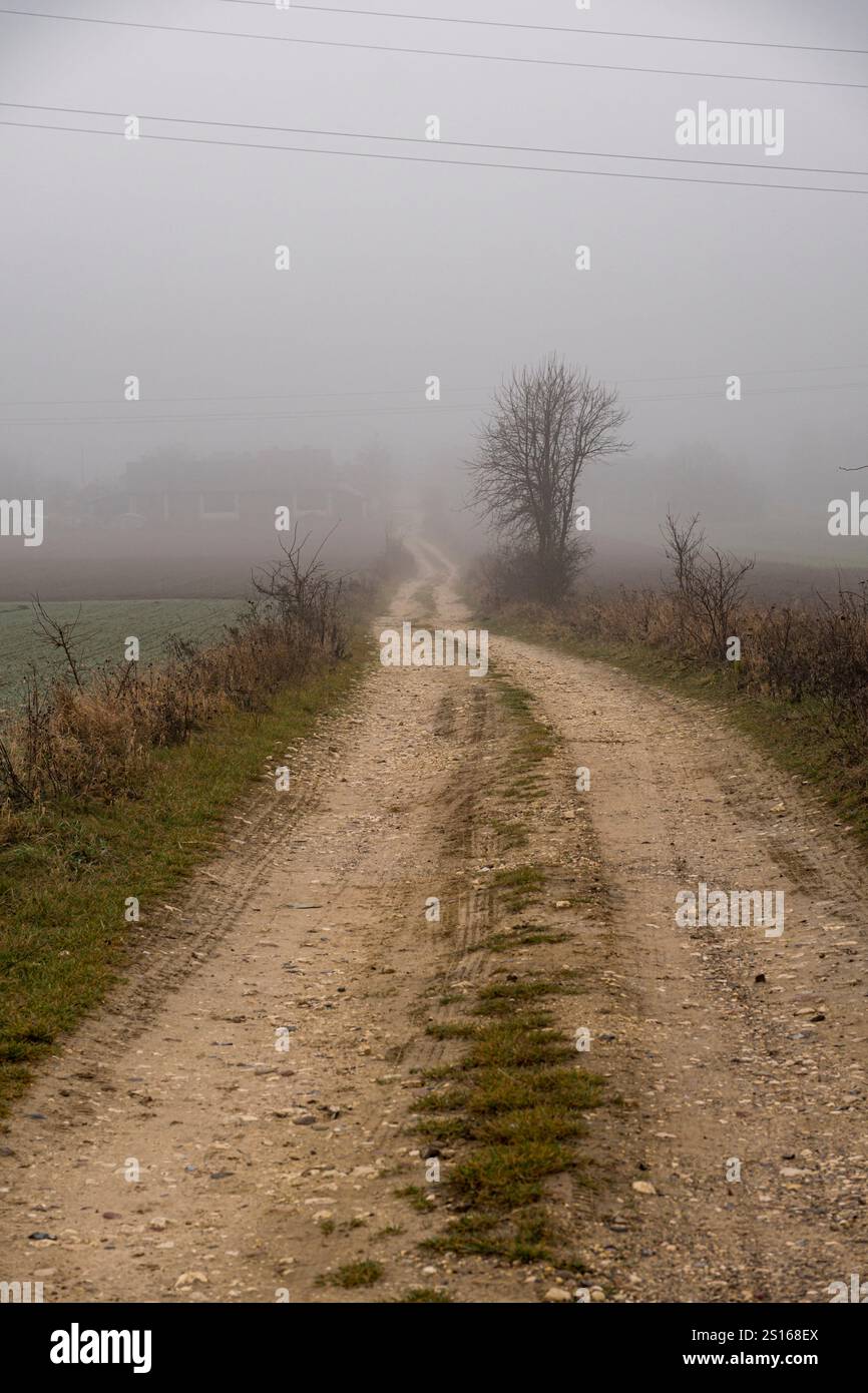 Landscape with ground road through fields during foggy day in snowless ...