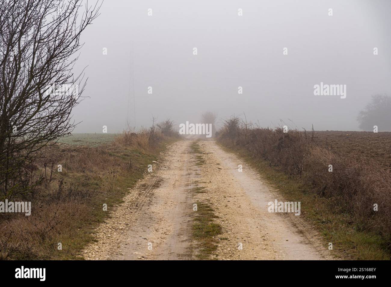 Landscape with ground road through fields during foggy day in snowless ...
