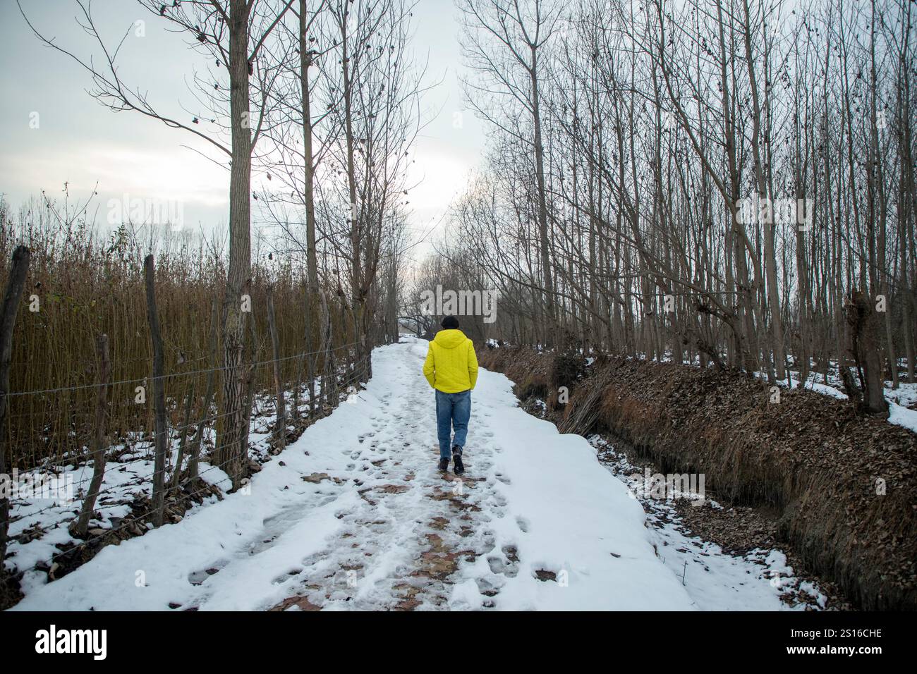 Ganderbal, India. 01st Jan, 2025. A Kashmiri man walks along a snow ...