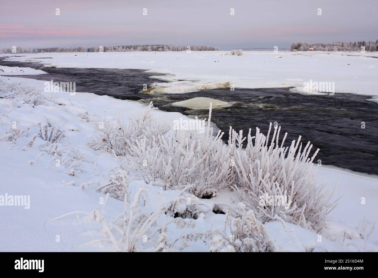 Torne river, border between Sweden and Finland. The riverside in ...