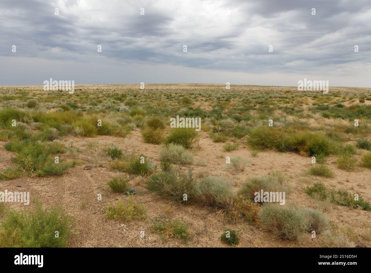 A wide view of the Kazakhstan steppe showcases an expanse of grass and ...