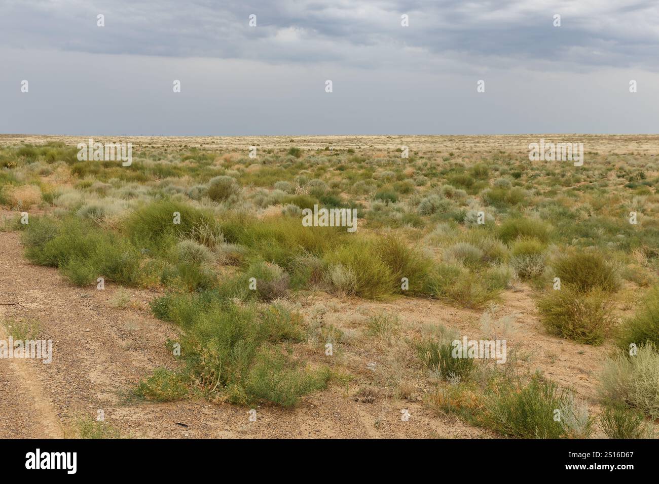 Expansive terrain of Kazakhstan showcases dry grasses and shrubs ...
