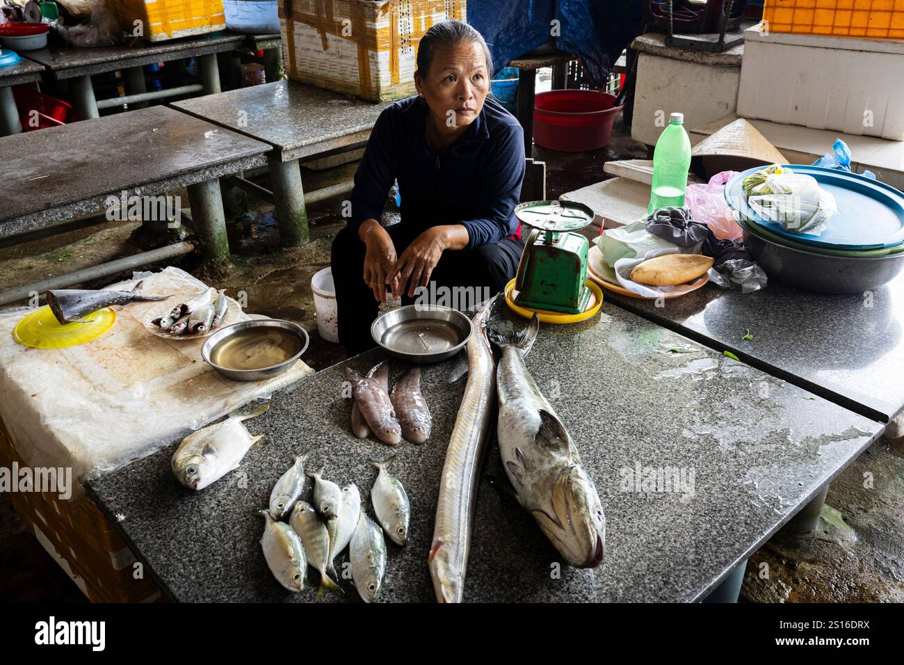 Hoi An, Vietnam - 26 July 2024 : Fishmonger at Hoi An market Stock ...