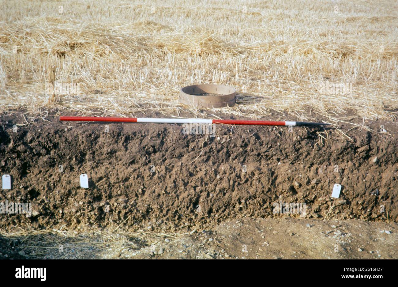 Ranging pole and sieve by ditch Cambridge University archaeological ...