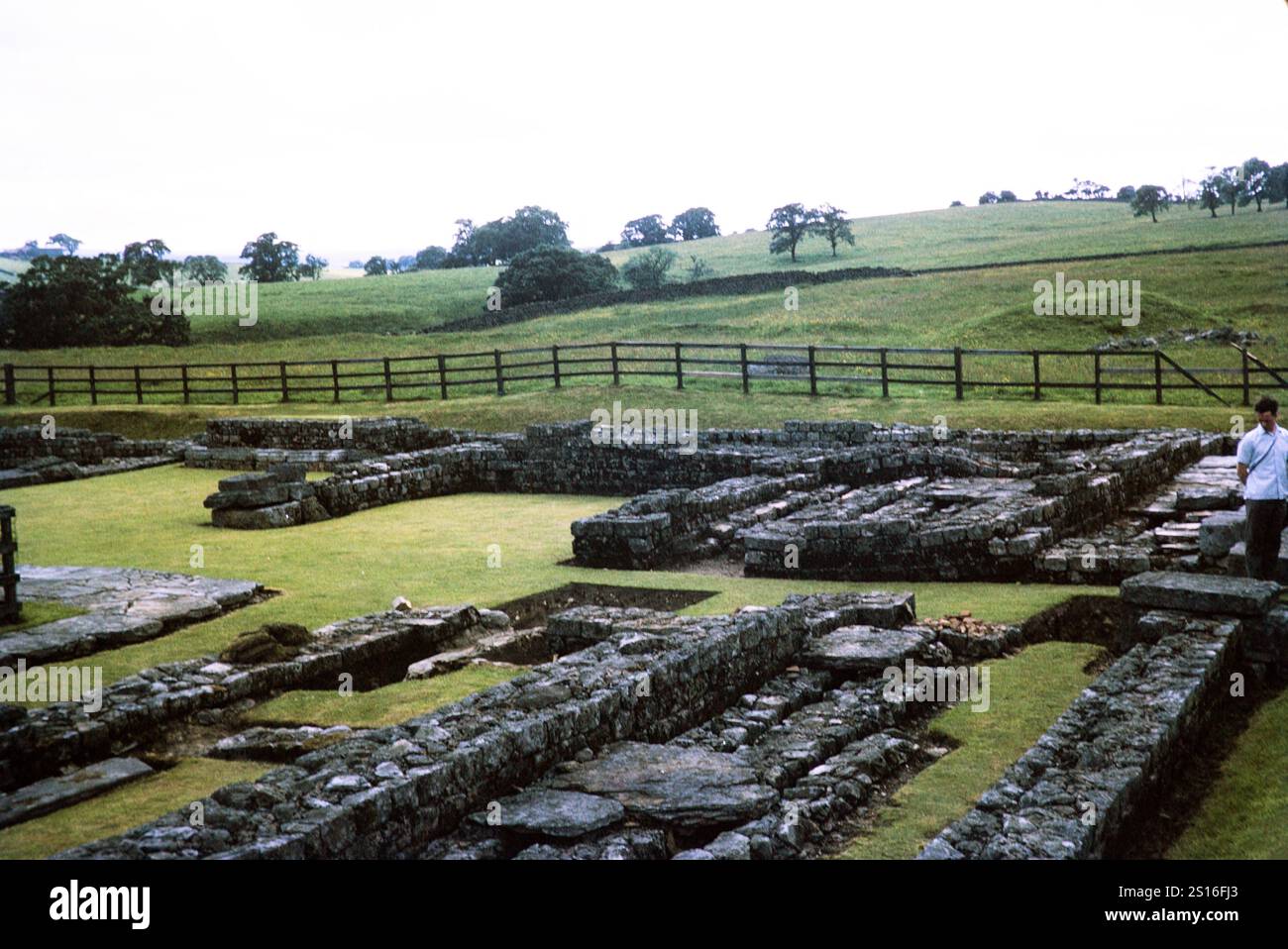 Vindolanda, Archaeological society visit to Hadrian's Wall ...