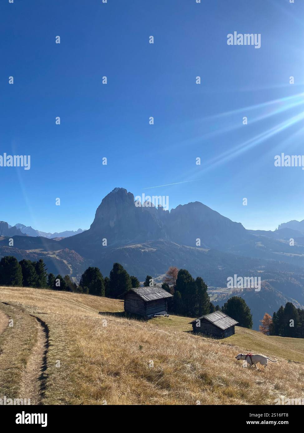 Seiser Alm, Alpe de Suise Stock Photo - Alamy