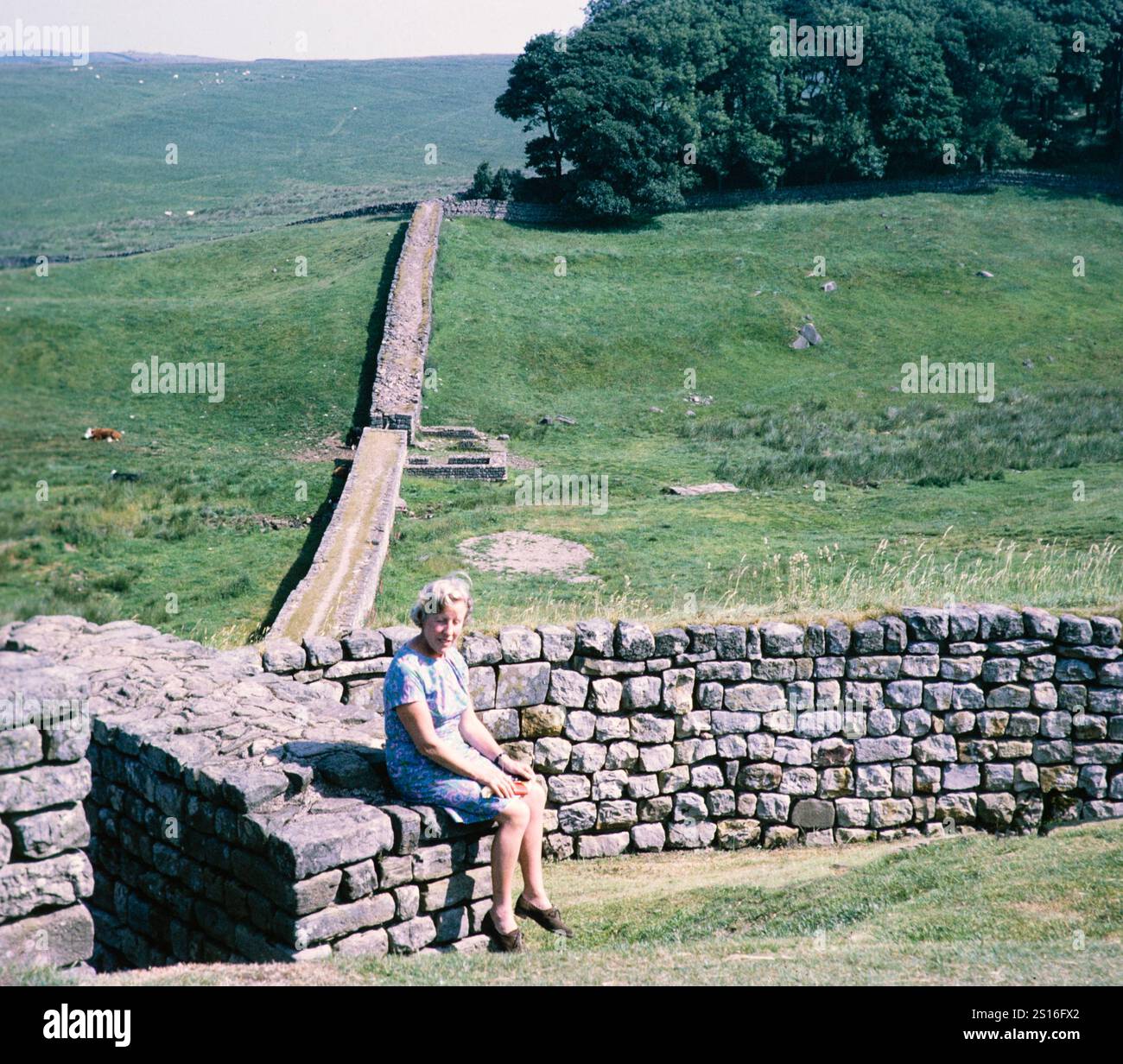 Archaeological society visit to Hadrian's Wall, Northumberland, England ...