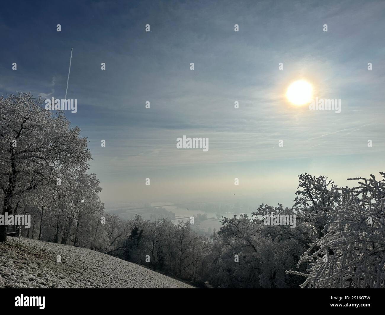 Bogen, Germany. 01st Jan, 2025. View from Bogenberg of the landscape ...