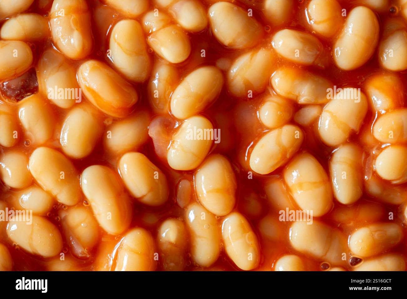 Baked beans in a tomato sauce background backdrop. Traditional British ...