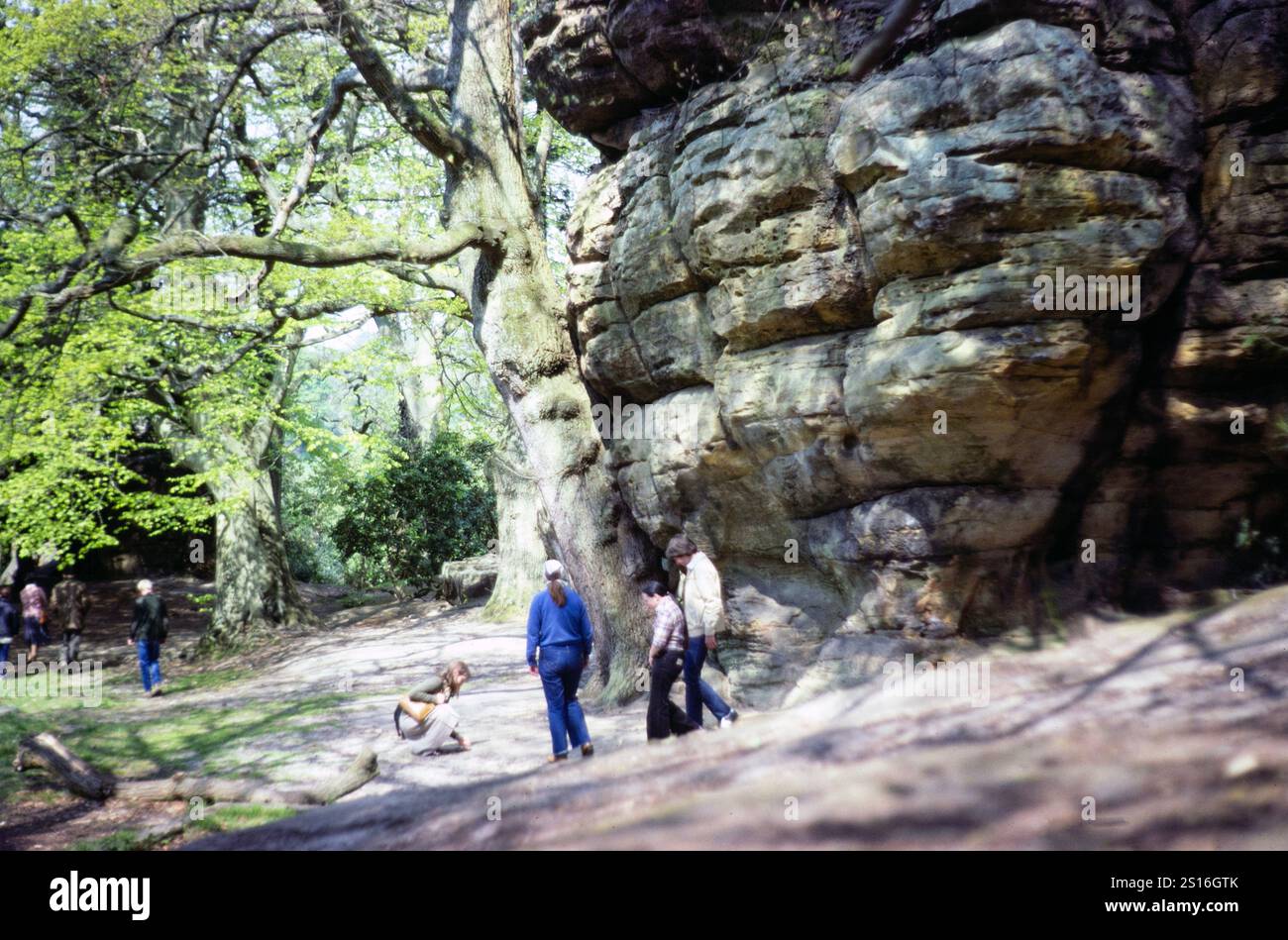 High Rocks mesolithic rock shelter site, Tunbridge Wells, East Sussex ...