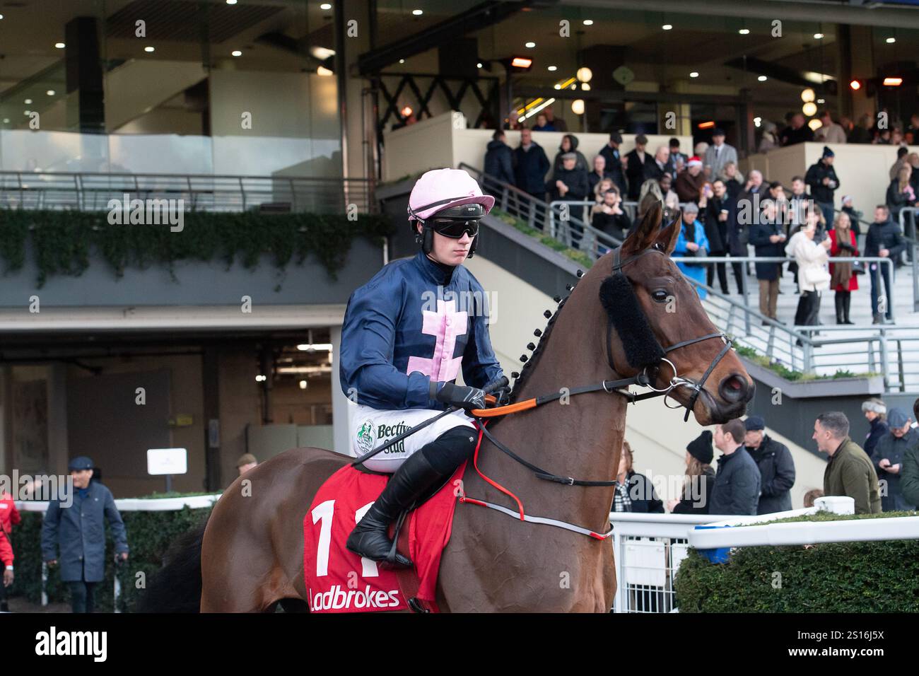 Owner angie osullivan hi-res stock photography and images - Alamy