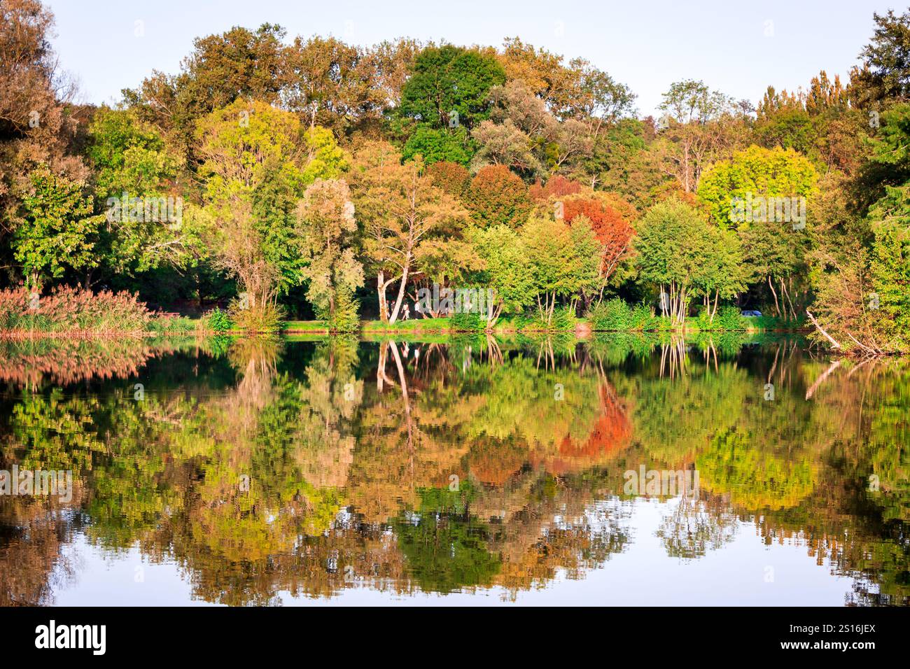 Reflections in still Lake Stock Photo - Alamy