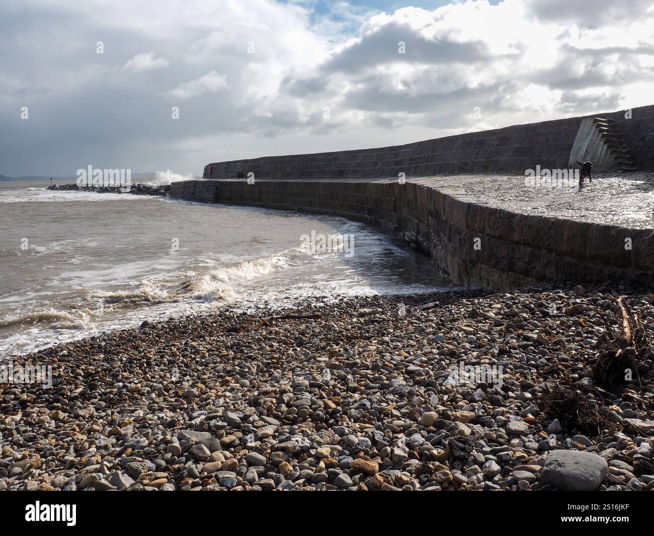 The cobb in Lyme Regis, United Kingdom Stock Photo - Alamy