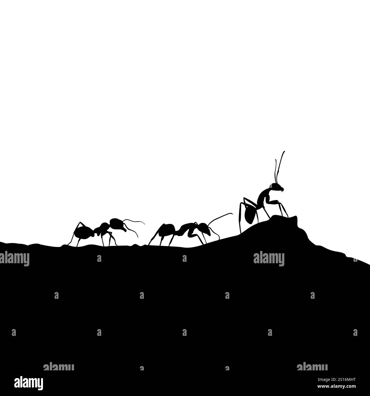 group of ants walk on the ground silhouette illustration Stock Vector ...
