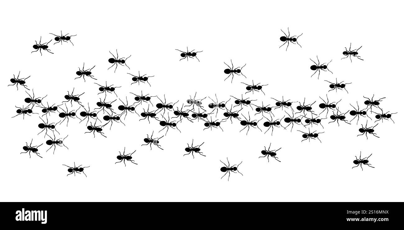 Ants walking on white Stock Vector Images - Alamy