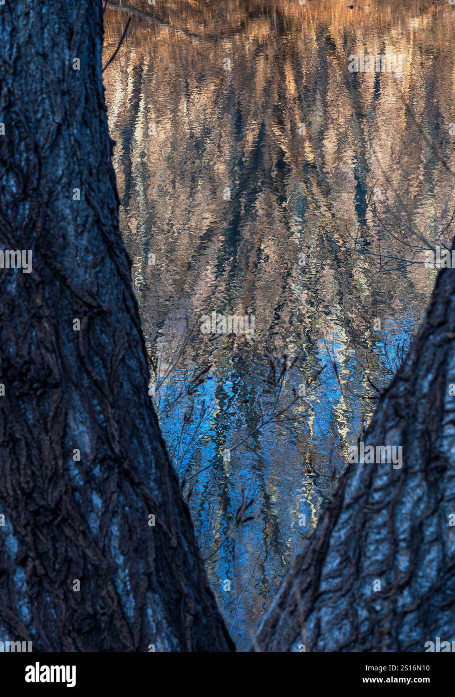 Moment of reflection in nature hi-res stock photography and images - Alamy