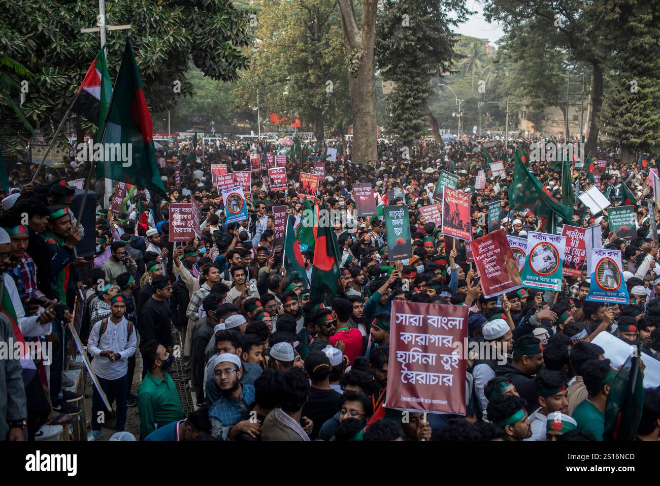 Dhaka, Bangladesh. 31st Dec, 2024. Students and supporters hold placards and Bangladesh National ...