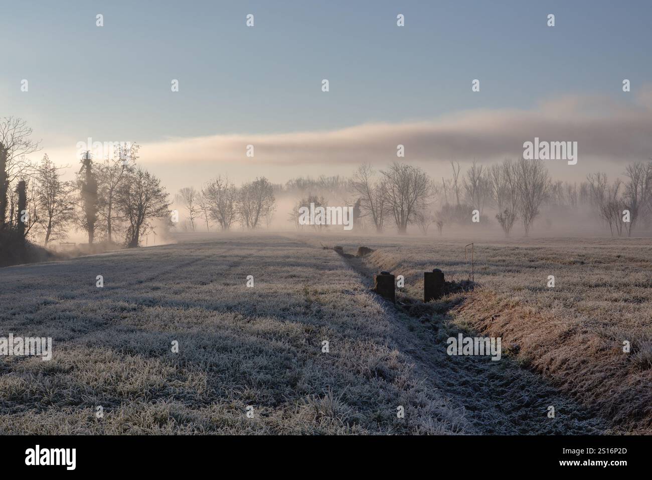 Cold winter morning in the countryside Stock Photo - Alamy