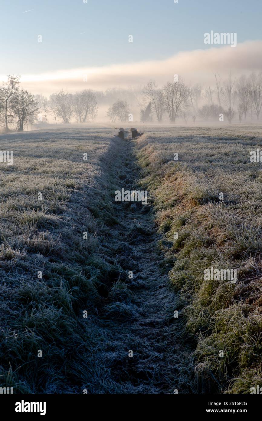 Countryside in winter morning hi-res stock photography and images - Alamy