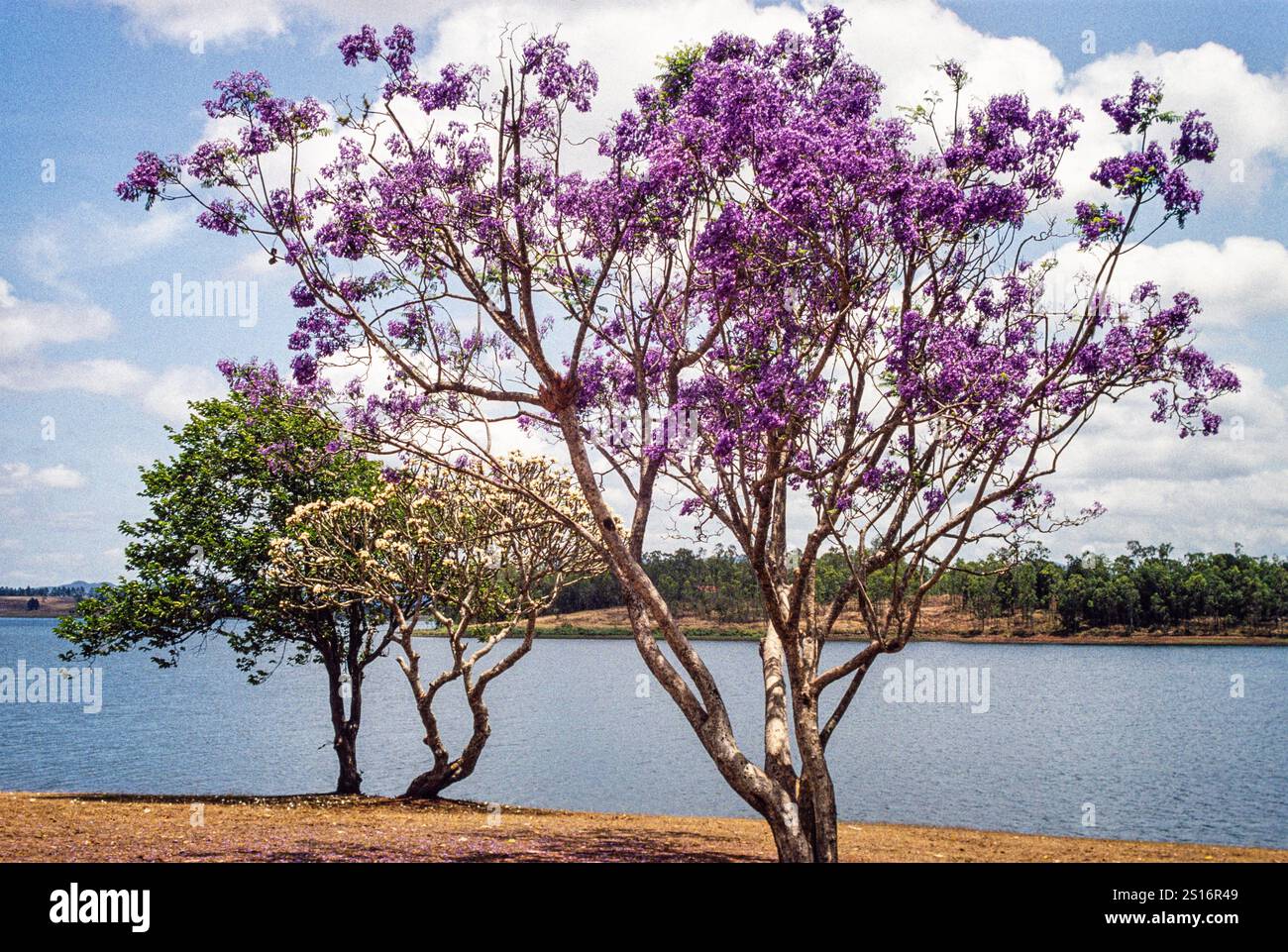 Scenic view of Lake Tinaroo in the Atherton Tablelands, Queensland ...