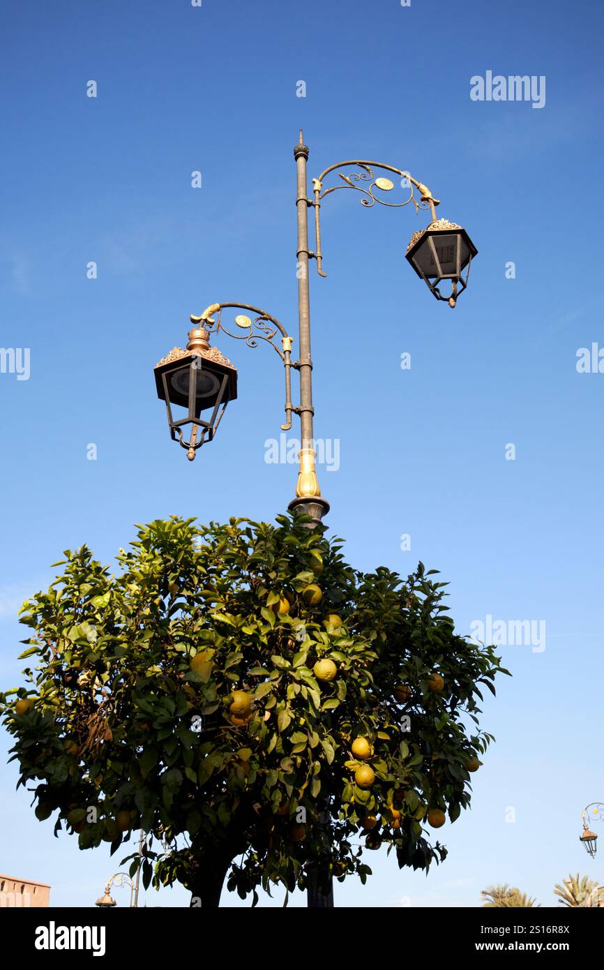 old ornate style street lighting upgraded to led and unripe bitter ...