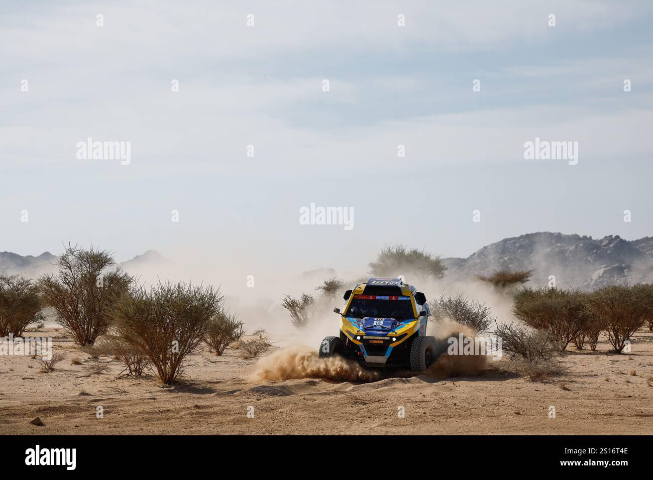 316 VAN DER VALK Gert-Jan (nld), DE LANGE Branco (nld), Arcane, Arcane ...