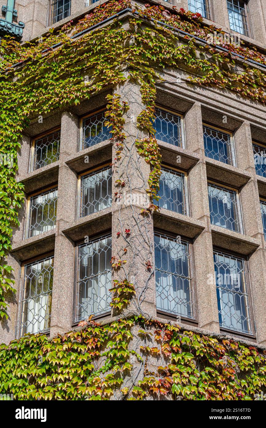 Climbing vines on a stone mansion Stock Photo - Alamy