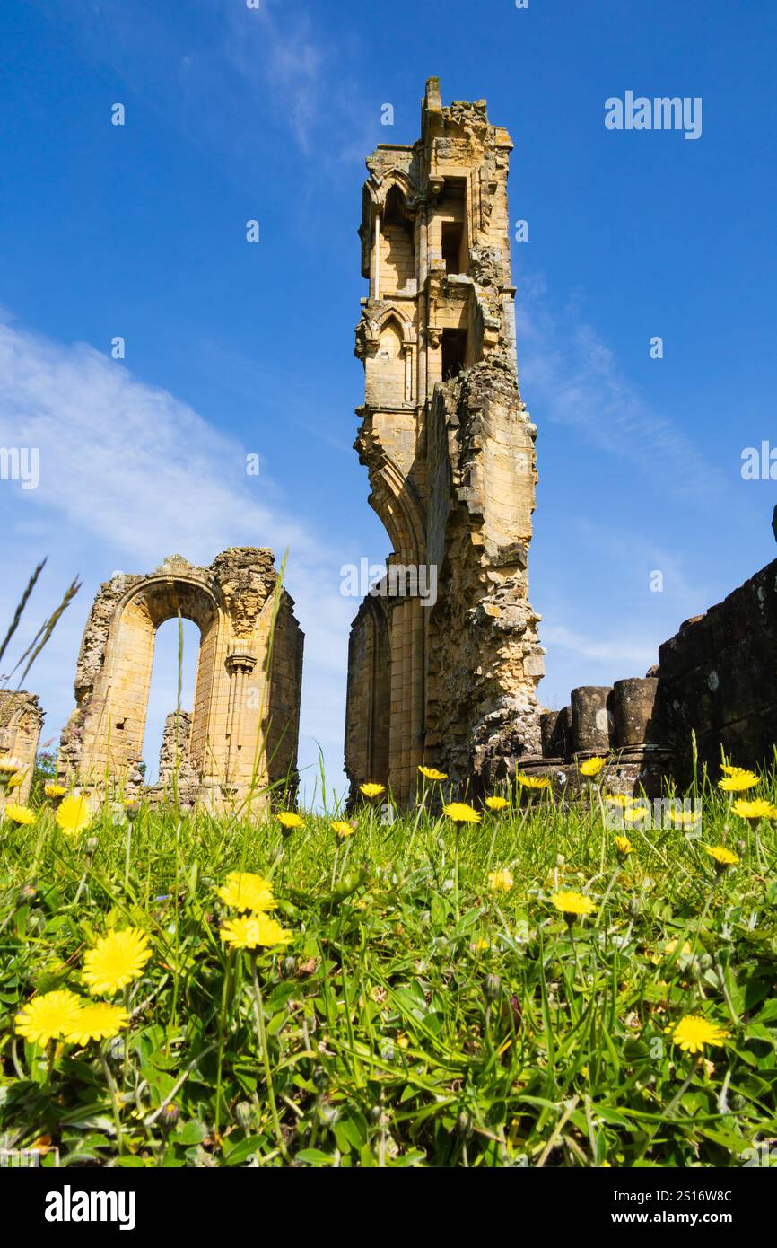 Ruins of Byland Abbey, Coxwold, North Yorkshire, England Stock Photo ...