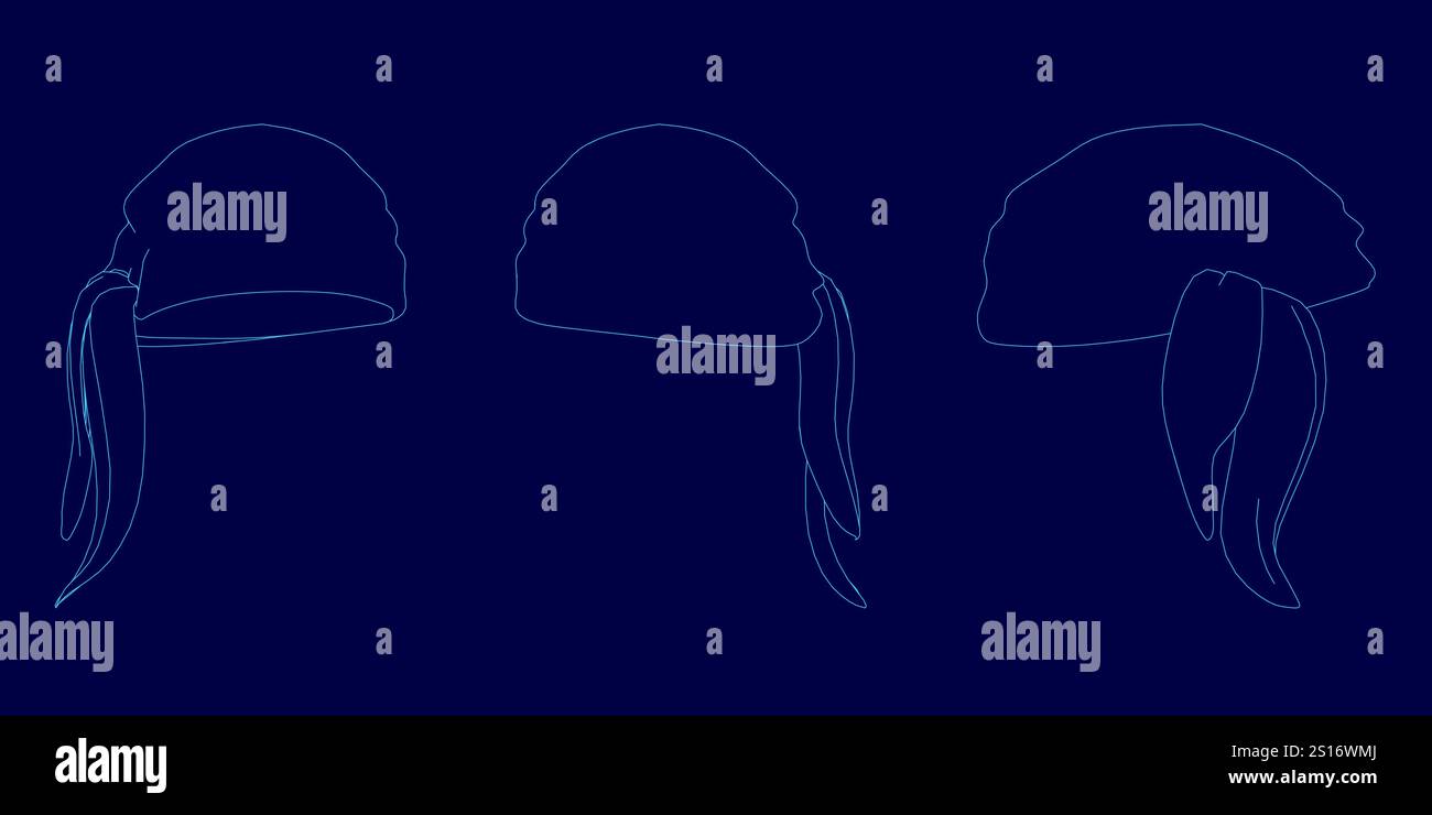 Three different hats are shown in a blue background. The hats are all ...