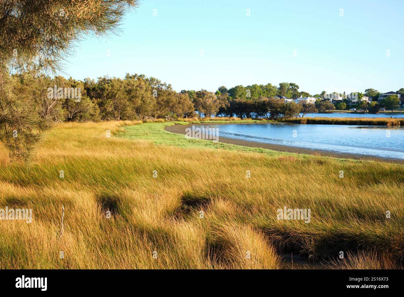 Salter Point Lagoon in the late afternoon sunlight with golden light ...