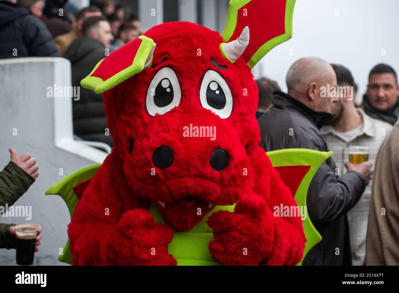 A Mascot at Chepstow Racecourse entertains the crowd on Coral Welsh ...