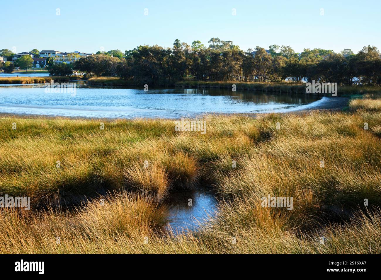 Salter Point Lagoon in the late afternoon sunlight with golden light ...