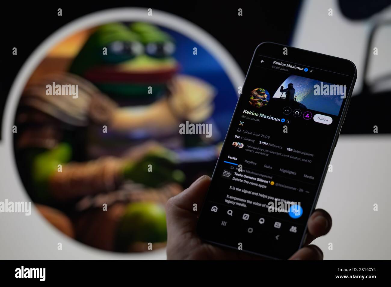 Brussels, Belgium. 01st Jan, 2025. Elon Mush profile on X with his name ...