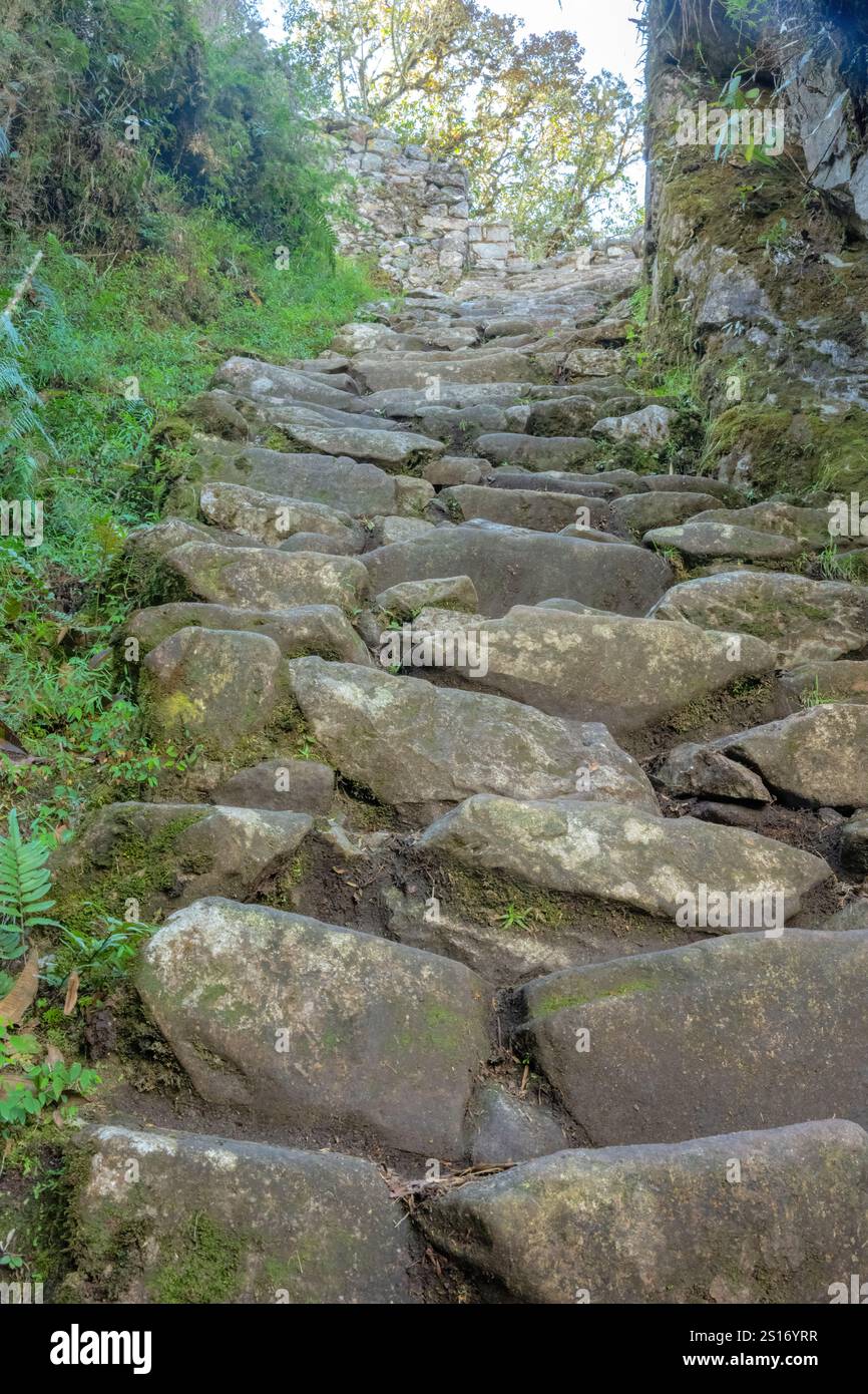 Gringo Killer steps, this is the last hurdle before you reach the Sun ...