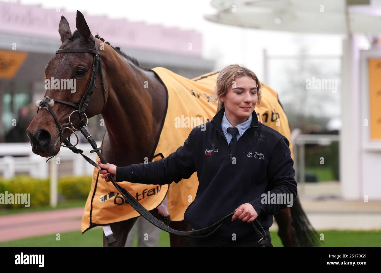 Springwell Bay after winning the Betfair Exchange Handicap Chase during ...