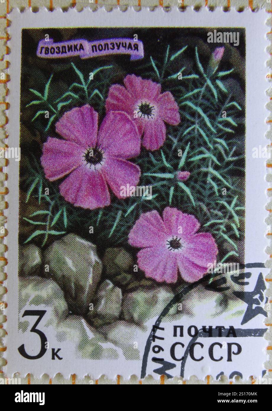 ISTANBUL, TURKEY - JANUARY 03, 2021: Soviet Union stamp shows Siberian ...