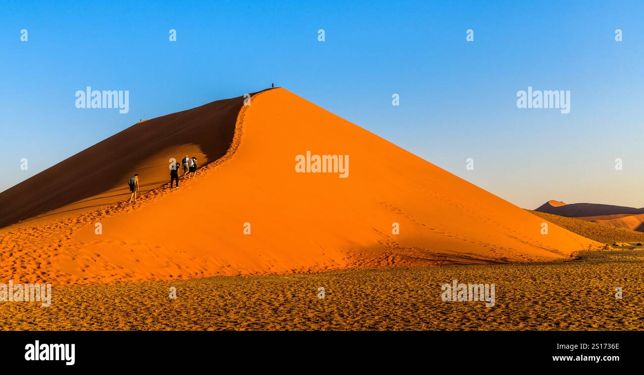 SESRIEM, NAMIBIA - AUGUST 21, 2024: Tourists on Dune 45 Stock Photo - Alamy