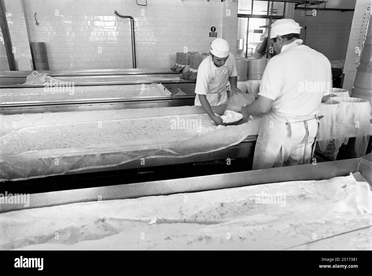 - production of DOC gorgonzola cheese - produzione del formaggio ...